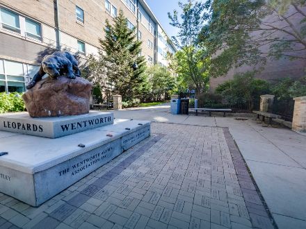 Campus Highlights - Leopard Statue