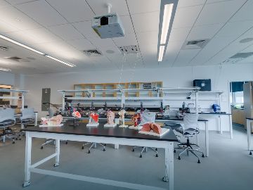 School of Engineering - Biomedical Instrumentation Labratory